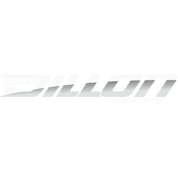 Team Dillon Management - eNASCAR